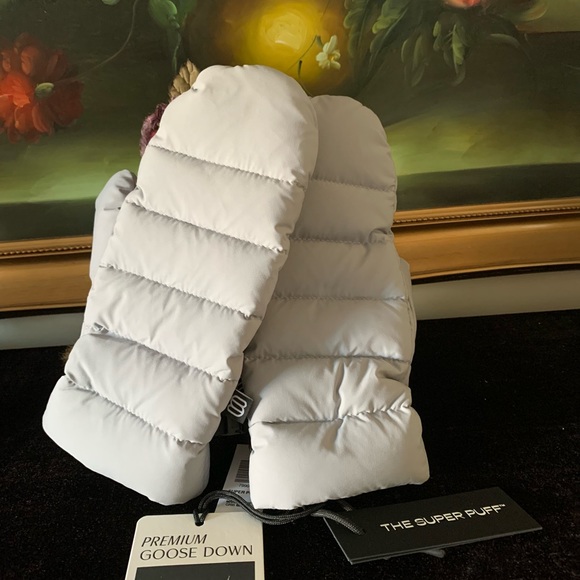 Aritzia | Accessories | Nwt Aritzia The Super Puff Goose Down Puffer ...